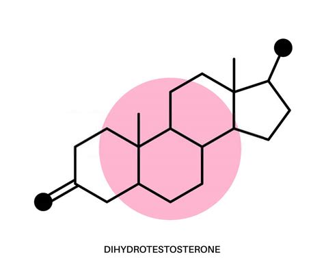 How Do I Stop My Testosterone From Getting Converted Into Dht