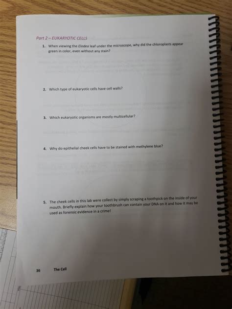 Solved THE CELL LAB Name Section PRE LAB QUESTIONS The Chegg