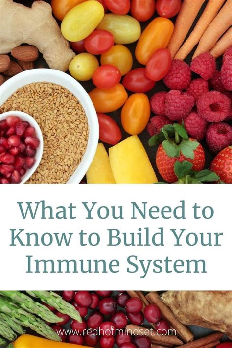 What You Need To Know To Build Your Immune System Immune System Nutrition Healthy Living