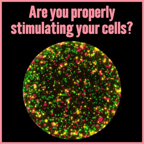 Mabtech On Linkedin Cellstimulation Elispot