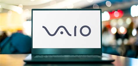 Vaio