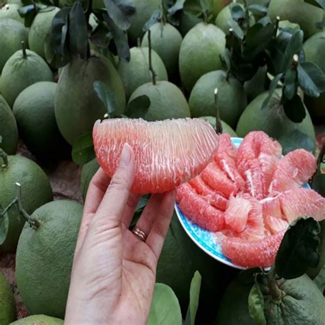 Bưởi Da Xanh Chuẩn Ngon Mọng Nước