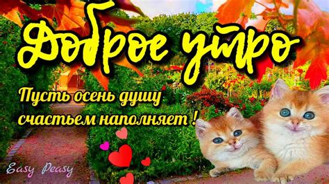 💗Доброго утра благословенного дня 💗🌞Отличнной недели 💗Красивое музыкальное пожелание🎵 Youtube