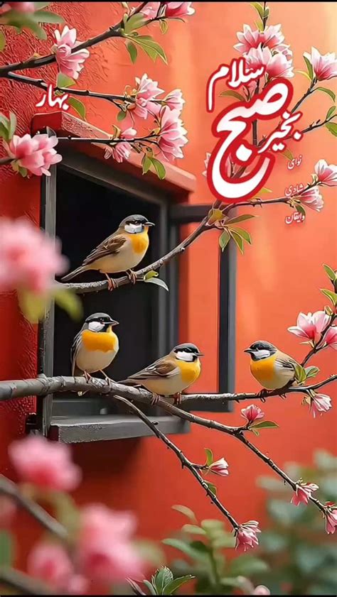 ‎💜بهار گونئی موسيقی 💛نوای شادی وایقان‎ ‎سلام صبح زیباتون بخیر سلام
