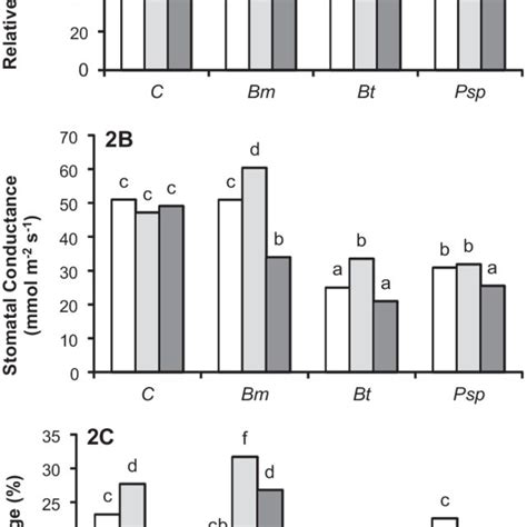 Relative Water Content A Stomatal Conductance B And Electrolyte Download Scientific