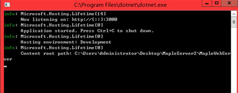 An System OverflowException Was Thrown During Running The Server For A Long Period Of Time