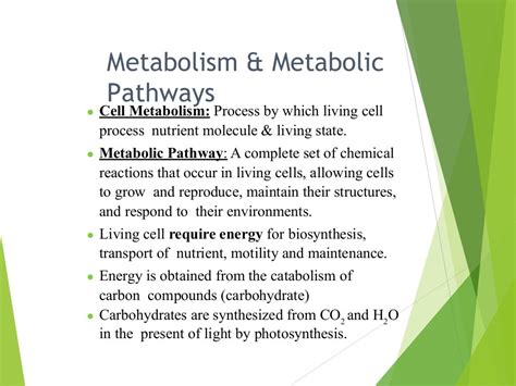 Introduction To Biosynthetic Pathway Pdf