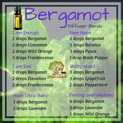 Bergamot Diffuser Blends Essential Oil Diffuser Blends Recipes Essential Oil Diffuser Recipes