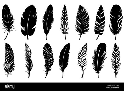 Feather Black Icon Feather Icons Set Various Feathers Vector