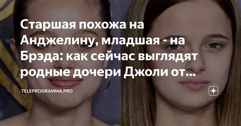 Старшая похожа на Анджелину младшая на Брэда как сейчас выглядят родные дочери Джоли от