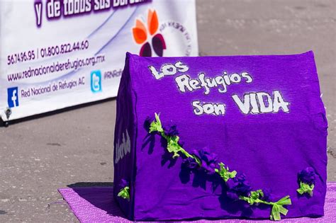 Refugios Para Mujeres En Riesgo Los Próximos 6 Meses Conavim Incumple