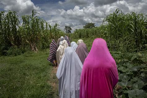 A New Gender Policy On Agriculture In Nigeria Cgiar