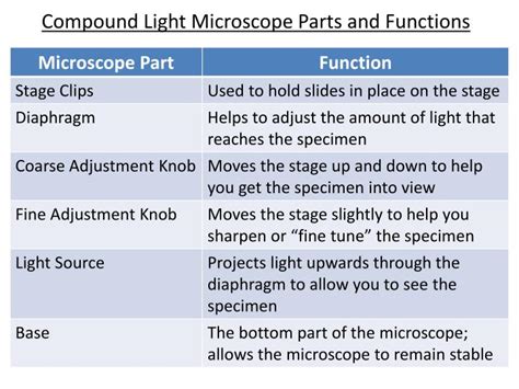 Ppt The Microscope Powerpoint Presentation Id2185863