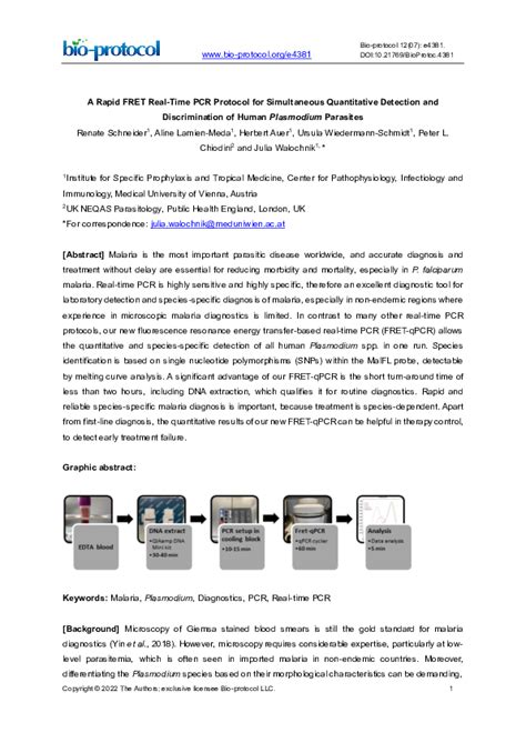 Pdf A Rapid Fret Real Time Pcr Protocol For Simultaneous Quantitative