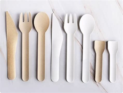 Biodegradable Disposable Paper Cutlery Wholesale Supplier