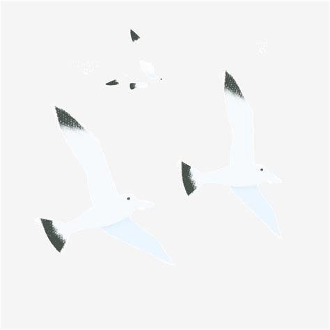 Psd Png