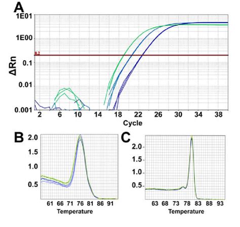 Expected Pcr Results A Representative Amplification Plot For Three Dna