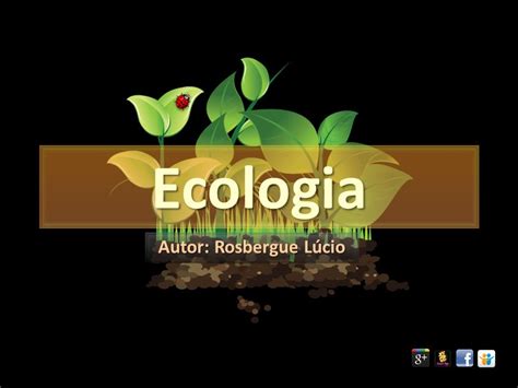 Conceitos Básicos em Ecologia YouTube