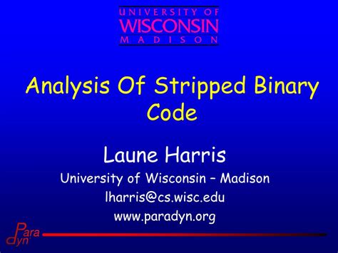 Ppt Analysis Of Stripped Binary Code Powerpoint Presentation Free