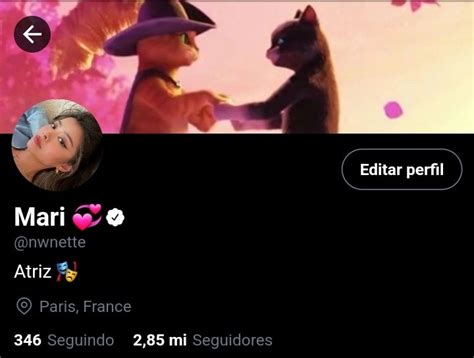 On Twitter Marinette Dupain Cheng Anos Bisexual