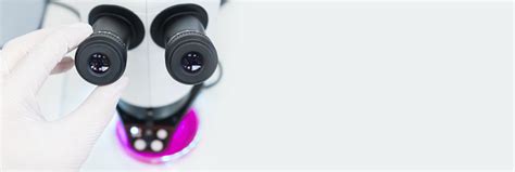 고무 장갑에 과학자 손이 배너는 복사 공간이있는 현대 실험실에서 하이테크 장비를 사용하여 샘플을 분석하기위한 현미경을 조정합니다 Stem 주제에 대한 스톡 사진 및 기타