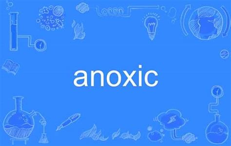 Anoxic百度百科