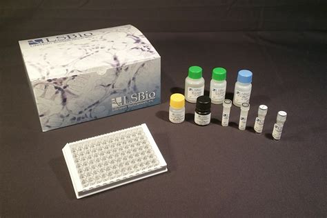 Human Cxcl1 Gro Alpha Quant Elisa Kit Sandwich Lsbio
