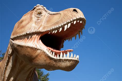 Aggressive T Rex Ancient Dinosaur Era Photo Background And Picture For