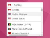 Filterable Country Continent Picker For JQuery NiceCountryInput Free JQuery Plugins
