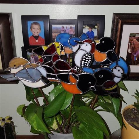 Pattern Songbirds Set 5 Bluebird And Oriole Etsy