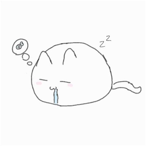 하얀고양이 Youtube