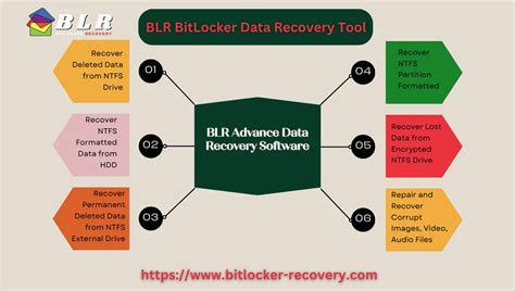 Blr Bitlocker Recovery Tool At ₹ 5135 Piece Dwarka Mor New Delhi
