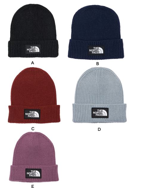 【imp】the North Face 北臉 Tnf 基本款 Logo 保暖 針織 毛帽 Nf0a3f 厚款 蝦皮購物