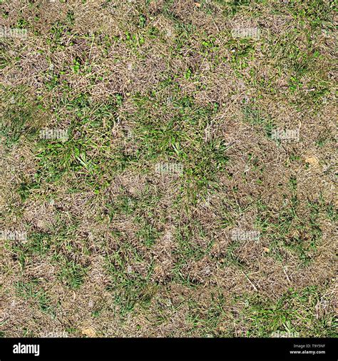 Grass Texture Tile