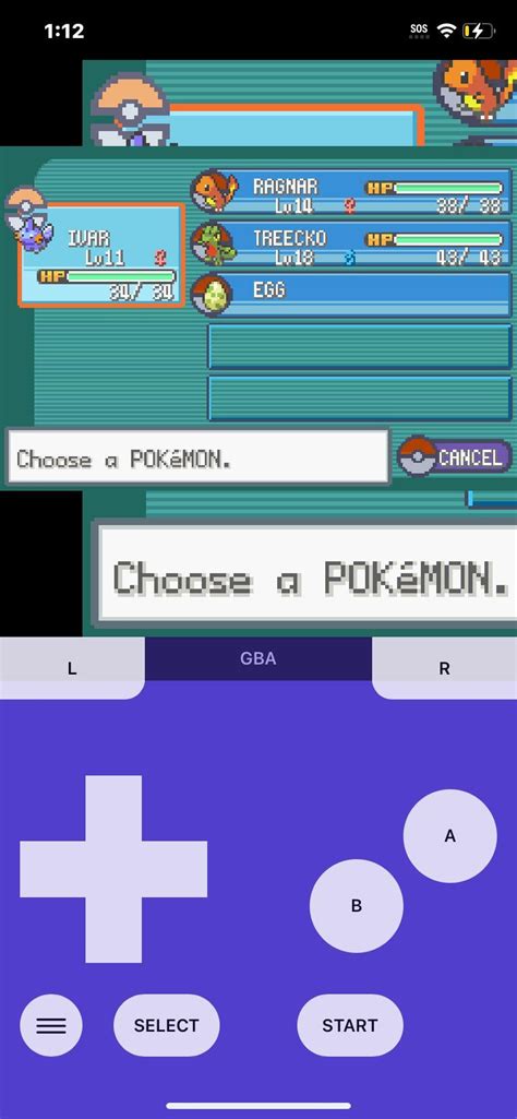 Anyone Know Why My Treecko Wont Evolve R Pokemonromhacks