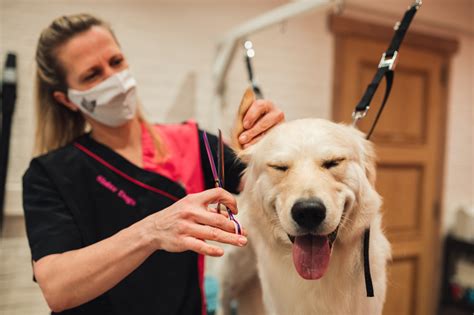 Tips Van Het Trimsalon Je Hond Wassen Woef