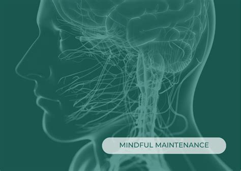 The Glymphatic Systems Role In Cognitive Wellness Flowology