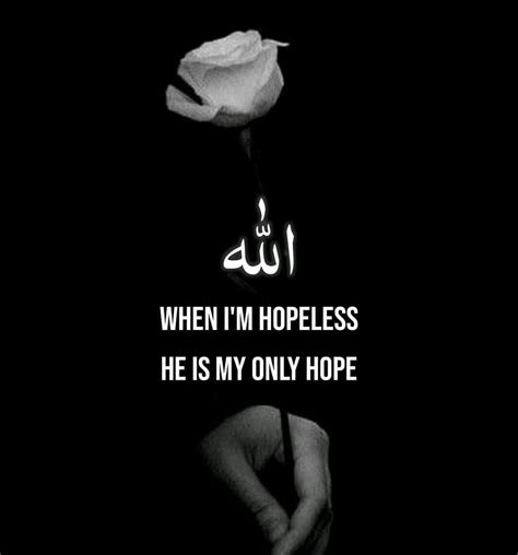 Laila Ali On Linkedin Lailaaliinspires 34 Comments