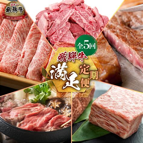 【楽天市場】【ふるさと納税】 《定期便》満足 全5回 総量44kg お届け 飛騨牛 定期便 肉づくし 白川郷 ブロック おまかせ 焼肉