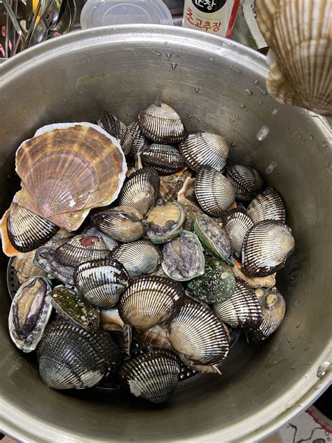 ㅇㅎ 차x 조개 파티 자동차 에펨코리아
