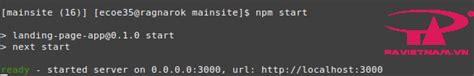 Hướng dẫn triển khai source Nodejs Nextjs trên hosting cPanel