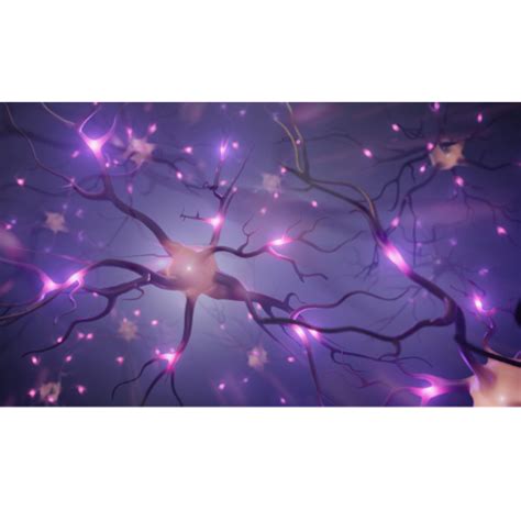 unlocking performance harnessing the power of mental training and