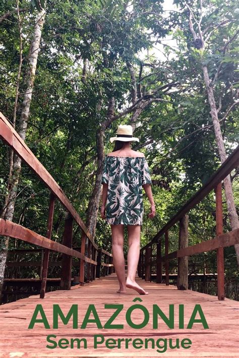 Roteiro dos sonhos pela Amazônia Planejamento Dicas de Viagem
