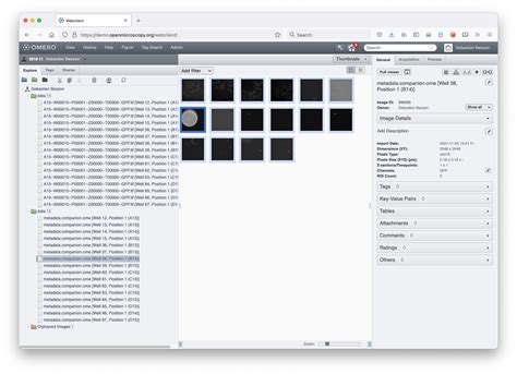Upload Issue With Metadata Ome Xml Companion File Data Management