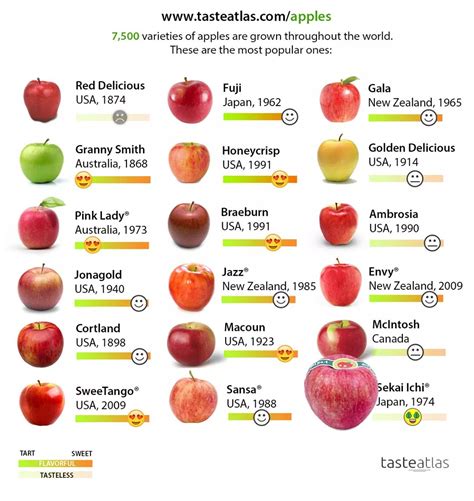 Not All Apples Are Created Equal These Are The Best The Worst The