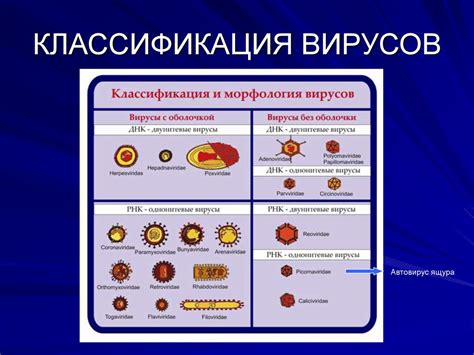 Ветеринарная вирусология презентация онлайн