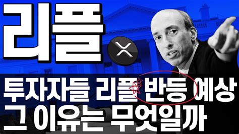 리플 반등 움직임 나옵니다 Youtube