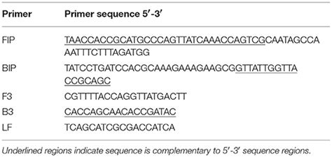 Frontiers Optimization Of A Loop Mediated Isothermal Amplification Lamp Assay For In Field