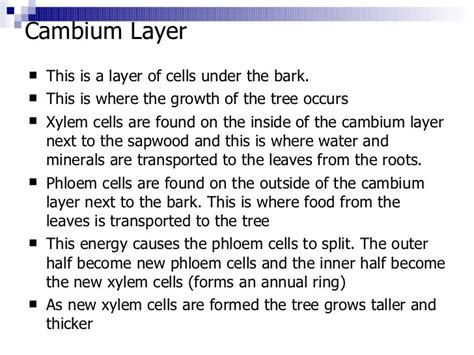 2 Tree Growth And Structure