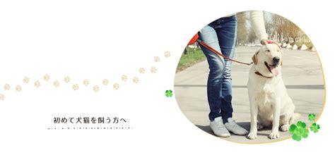 初めて犬猫を飼う方へ 幕張どうぶつ病院